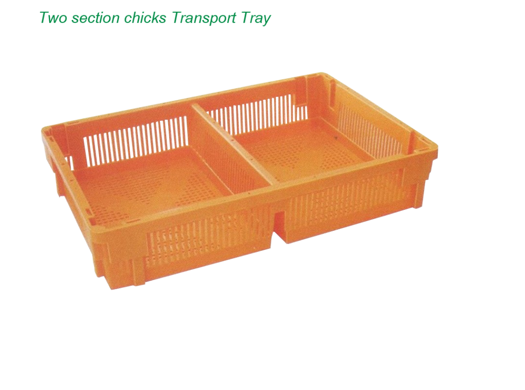 Chick Transporting Trays – Automation master