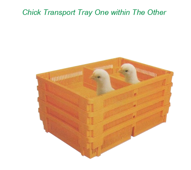 Chick Transporting Trays – Automation master